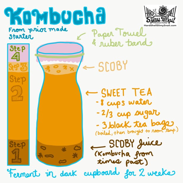 How to Make Kombucha – Hard Shell Slimy Snail